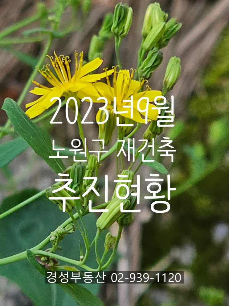 노원구 상계동 중계동하계 월계 재건축 재개발뉴타운 공공재개발모아타운 소식과 노원역상계역 아파트빌라 매매 동향 경성