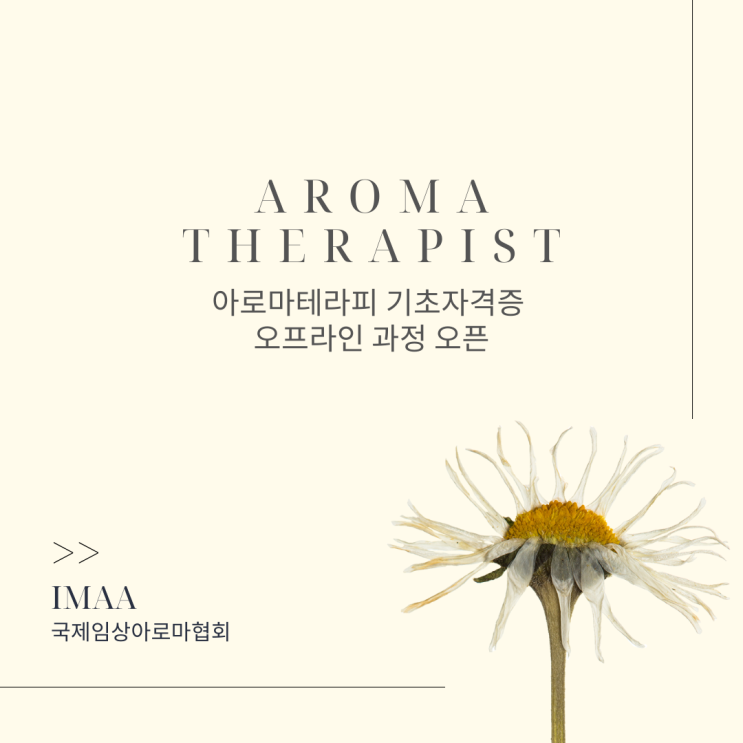아로마테라피 국제 자격증 주말반 오픈 Imaa 국제 임상아로마 협회 도테라 오일 가이드 네이버 블로그