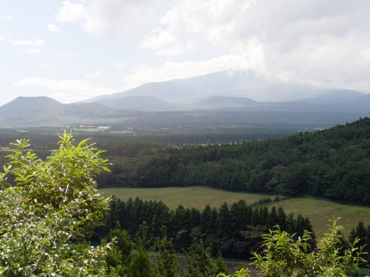☀︎ [2 / 368] 까끄래기오름 : 네이버 블로그