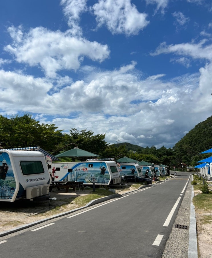 영천 치산관광지 캠핑장 8월 한여름에 다녀온 후기 6인용 카라반 바베큐 캠핑🌲 내가 구운 첫 바베큐 네이버 블로그