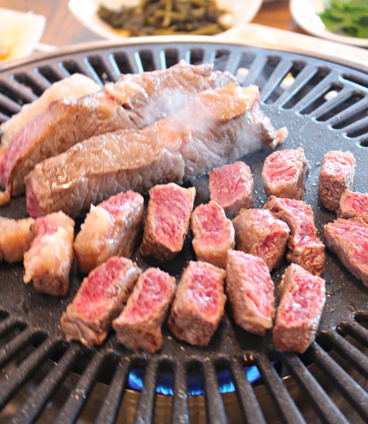 홍성 용봉산 맛집 가족 외식하기 좋은 홍성한우프라자 후기 네이버 블로그