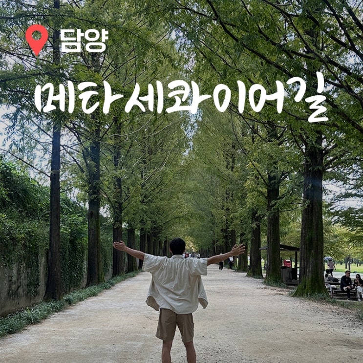 담양 메타세콰이어길 주차장 메타세쿼이아랜드 입장료 산책 포토존 볼거리 네이버 블로그