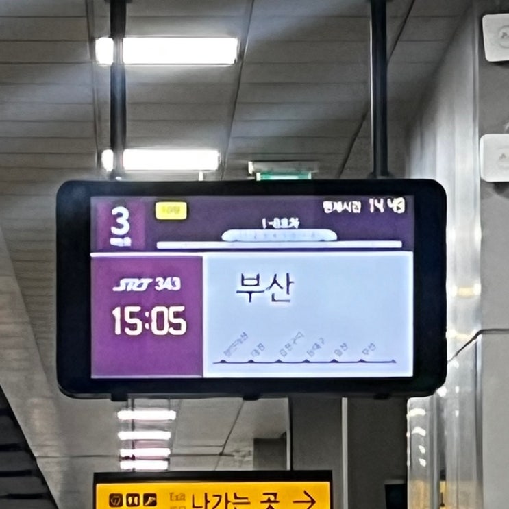 [2309] 추석 연휴 직전의 일상 🥸 : 네이버 블로그