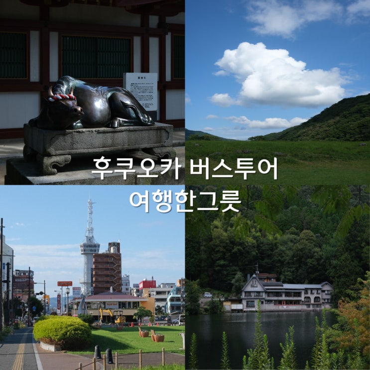 후쿠오카 버스투어 혼자여행 다자이후유후인벳푸 여행한그릇으로 뚝딱 네이버 블로그
