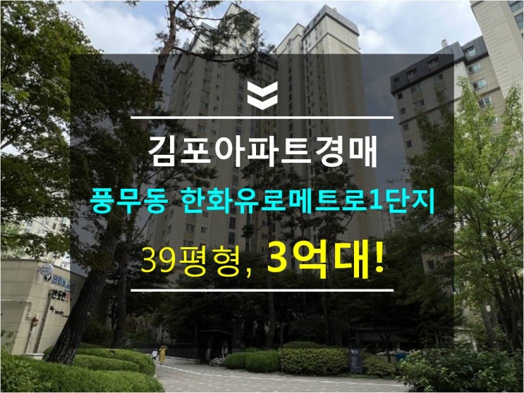 김포 아파트경매 풍무동 유찰2회 반값경매 한화유로메트로1단지아파트 39평 3억대경매 2022타경2853 공세권 네이버 블로그