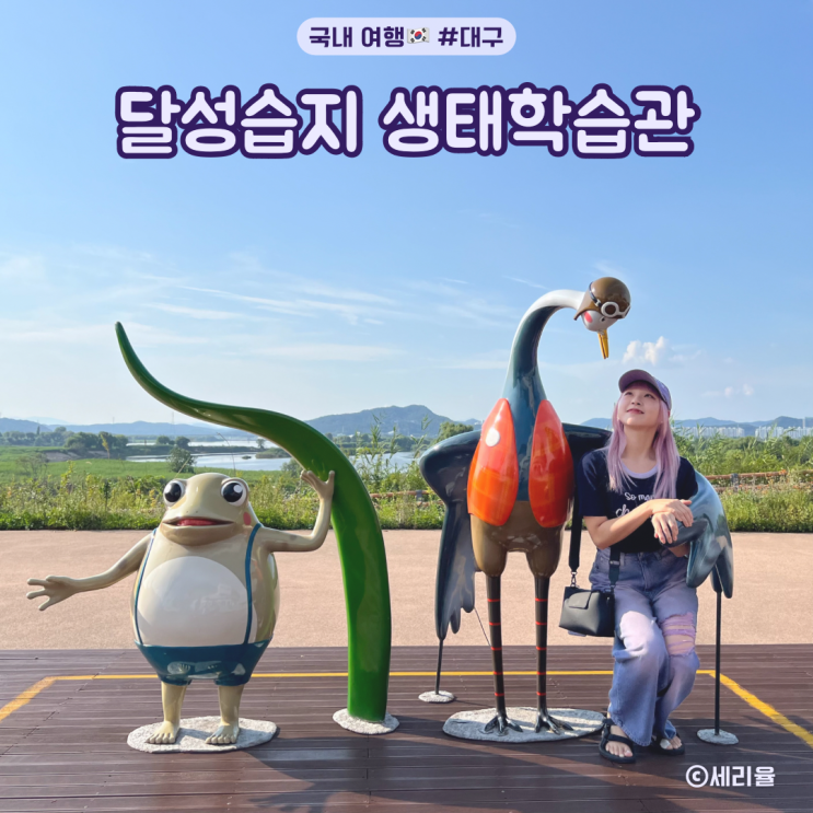대구 아이랑 갈만한곳 달성습지 생태학습관 주차장 갈대 대명유수지 네이버 블로그