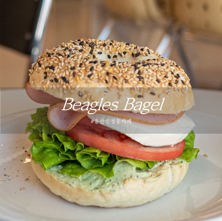 울산 신정동 카페, 한적하고 여유로운 베이글 맛집 @비글스베이글 (Beagles Bagle) : 네이버 블로그