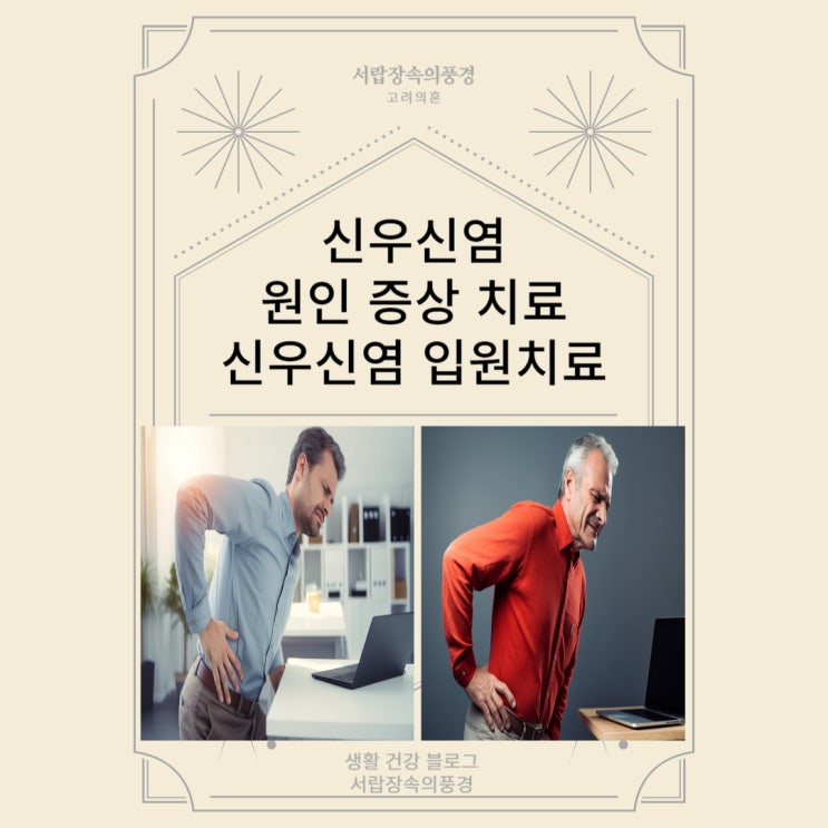 신우신염 원인 증상 치료 신우신염 입원 치료 신우신염 초기증상 네이버 블로그