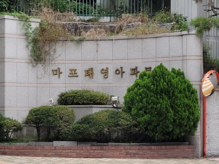 임장 마포 태영 아파트 리모델링 될까 네이버 블로그