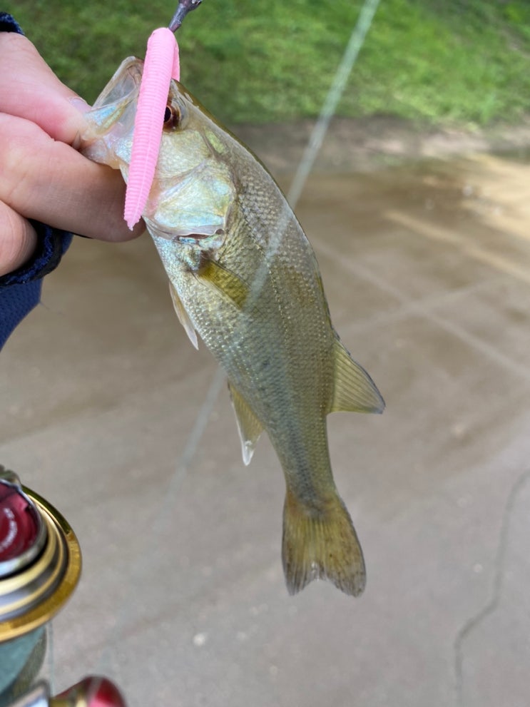 추석 짜치 ~~~ : 네이버 블로그