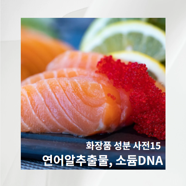 리쥬란 힐러 연어주사 Pdrn 화장품으로 발라도 효과 있을까 연어 화장품 고르는 법 네이버 블로그