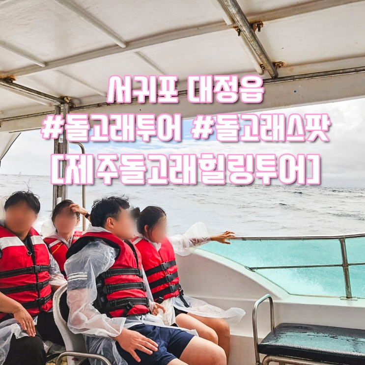 제주 액티비티 돌고래 스팟을 찾아 제주돌고래 힐링투어 아이와 가볼만한 곳 네이버 블로그
