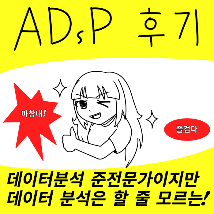 ADsP 합격 후기 : 네이버 블로그