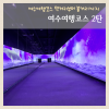 여수여행 여수 가볼만한 곳 놀거리 먹을거리 볼거리까지 여수여행코스 2탄 네이버 블로그