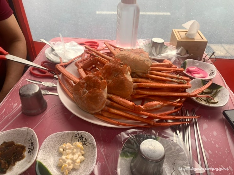 230806~07 강원도 가족 여행 기록 승진호 홍게 무한리필그랜드 카페속초바다 2 네이버 블로그