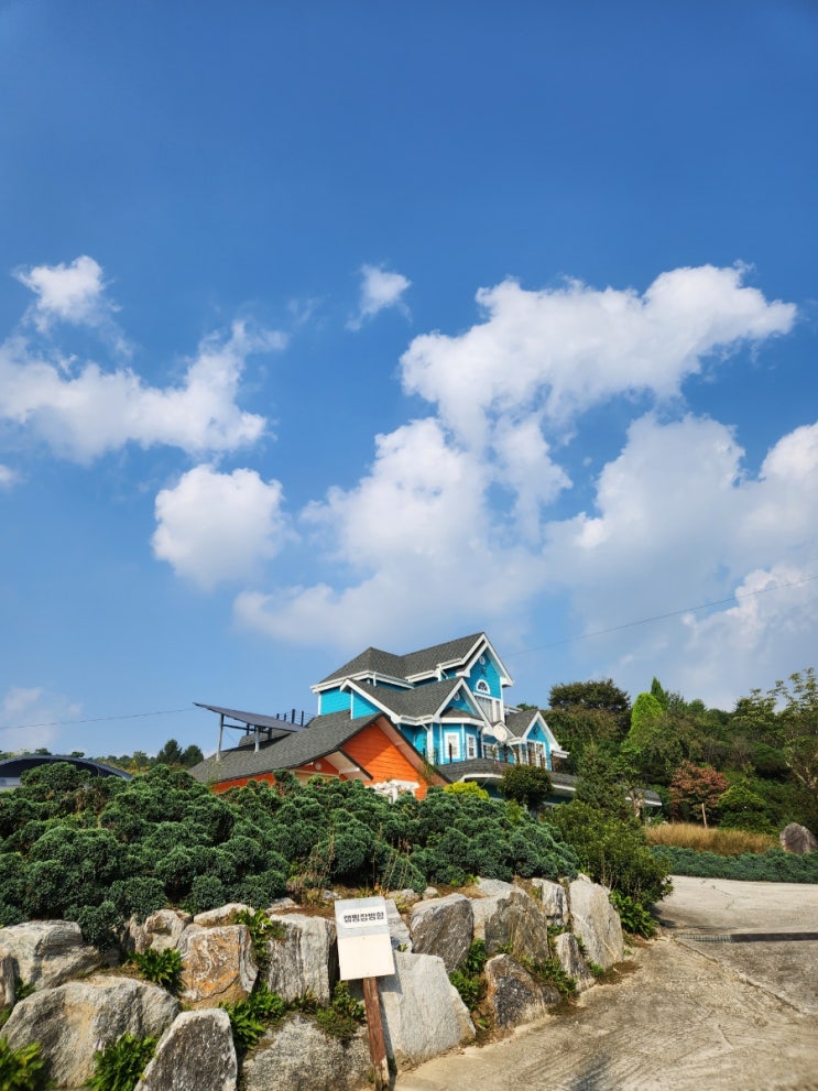 용인캠핑장 파이브이모션 매너 타임 굿 사이트 간격 최고 숲속뷰로 힐링하세요 네이버 블로그