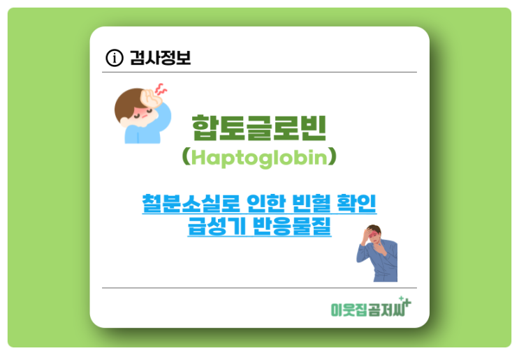합토글로빈 Haptoglobin 혈관 내용혈 검사 알아보기 : 네이버 블로그