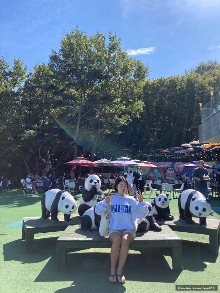 을왕리 빵판다 카페 비행기 이륙 샷 : 네이버 블로그