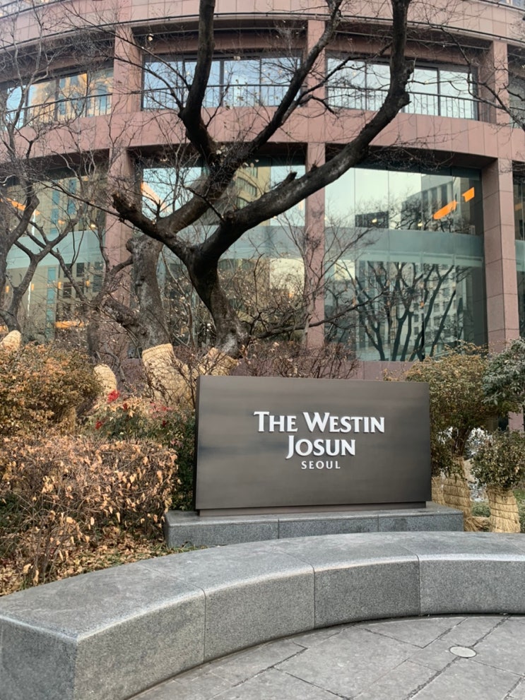 2022 연말 ‘웨스틴조선 서울 호텔 주니어 스위트 트윈 숙박오키드룸 이용 후기 네이버 블로그