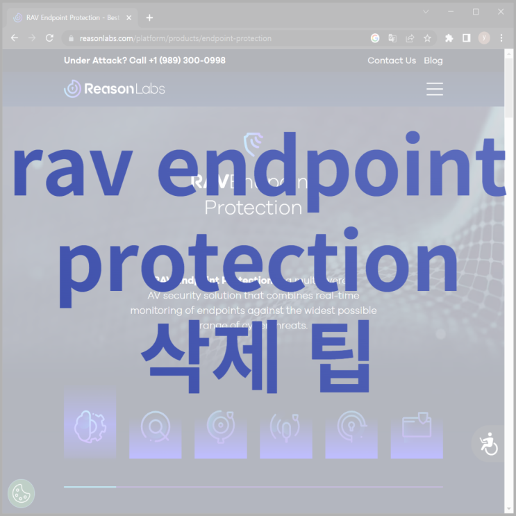 rav endpoint protection 백신, 오류없이 삭제하는 꿀팁 : 네이버 블로그