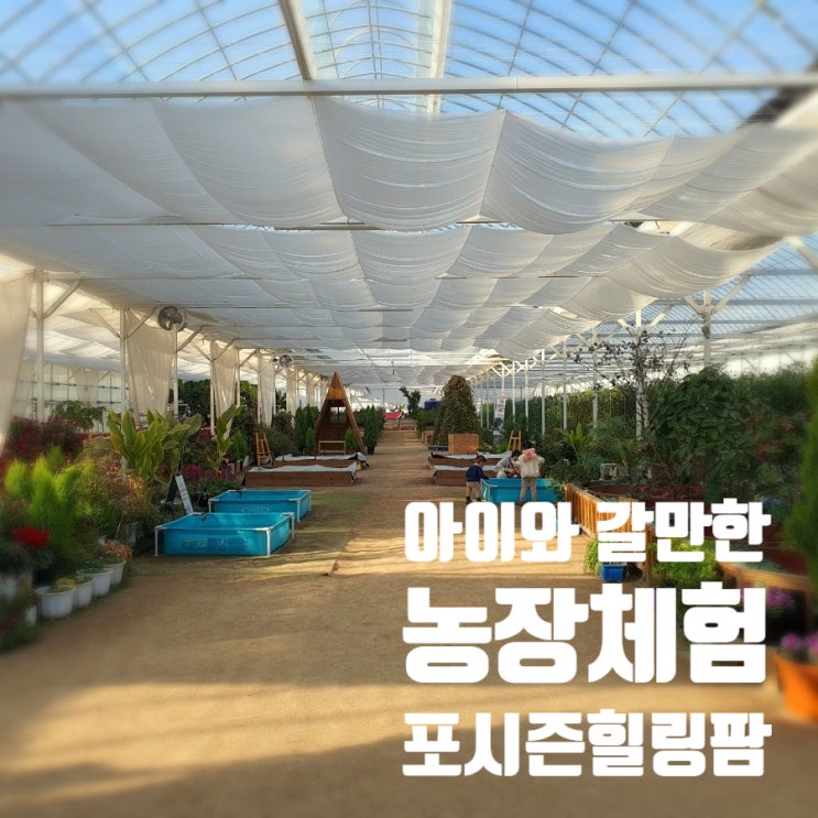 수원 포시즌힐링팜 추운 겨울 아이와 갈만한 농장체험 네이버 블로그
