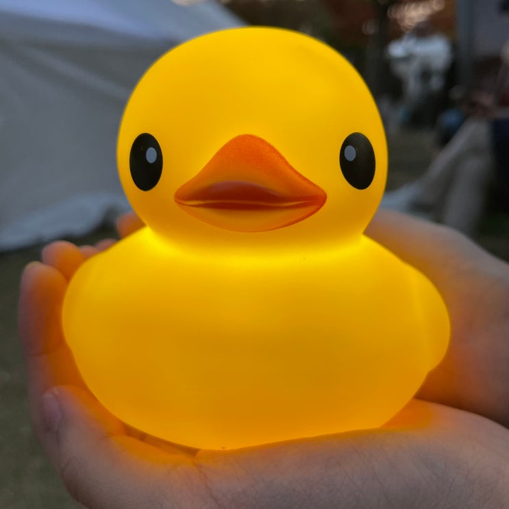 [잠실] 러버덕 프로젝트 서울 2022(Rubber Duck Project Seoul 2022) 방문기 : 네이버 블로그