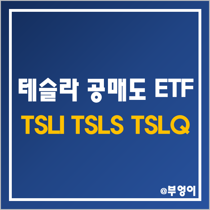 테슬라 개별 종목 공매도 미국 ETF - TSLI, TSLS, TSLQ 주가 및 수익률 (TSLA 주식 하락에 투자하는 인버스 ...