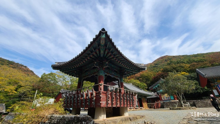 진도해남 가족여행13 진도 가볼만한곳 진도 쌍계사 첨찰산 상록수림 네이버 블로그