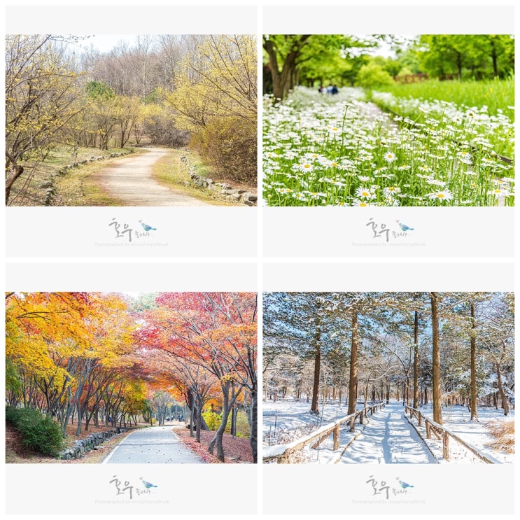 서울 근교 경기도 오산 물향기 수목원의 겨울 봄 여름 가을 나들이 네이버 블로그