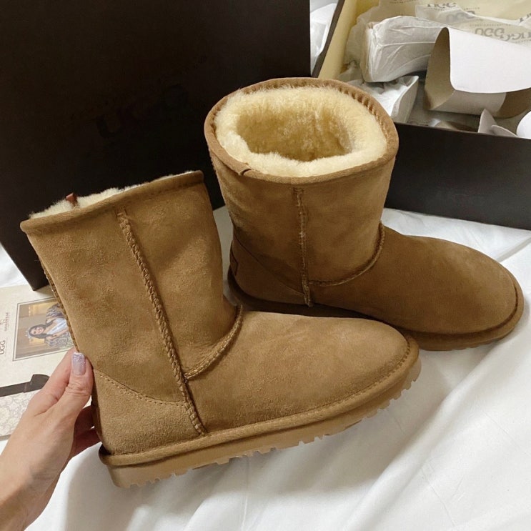 Ugg 어그부츠 숏 후기 호주 오즈웨어 사이즈팁 And 에버어그 Australian Shepherd 어그미니클래식 차이 체스트