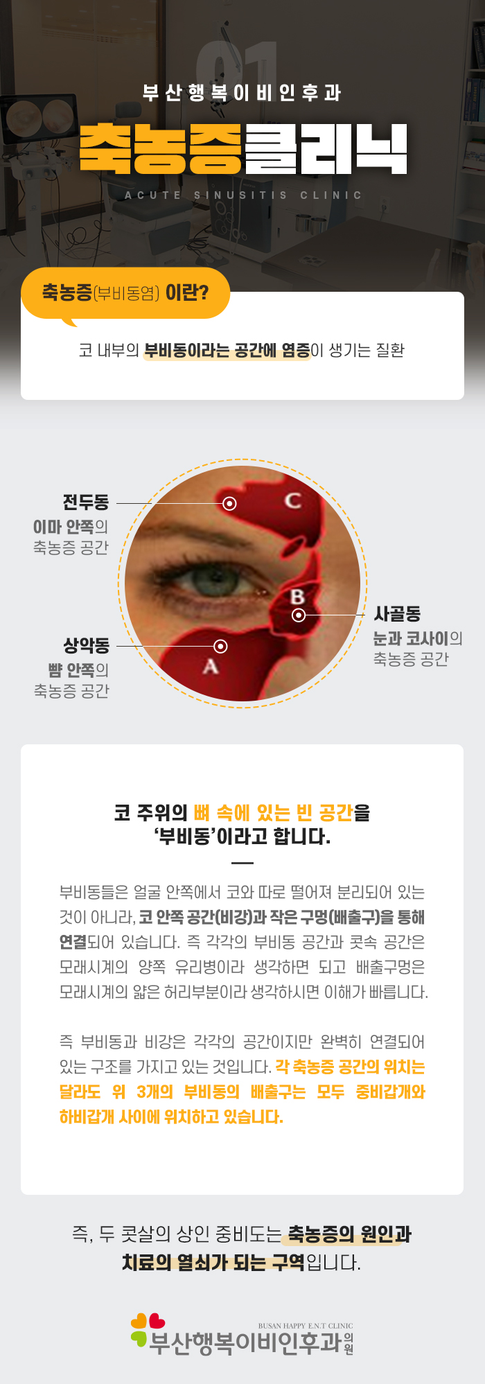 노란콧물 항생제 만성 부비동염 예방하기 네이버 블로그