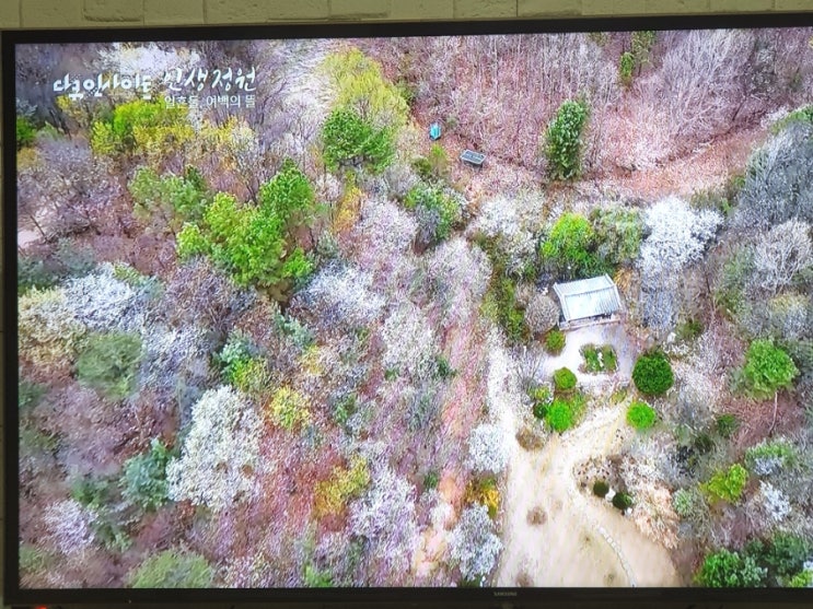 다큐인사이트 인생정원 여백의 뜰 여백서원 괴테서원 날개와 뿌리 : 네이버 블로그