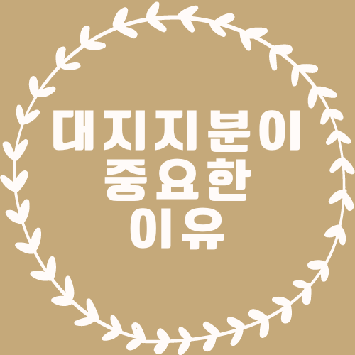 대지지분이 중요한 이유 비례율 추가분담금 권리가액 네이버 블로그