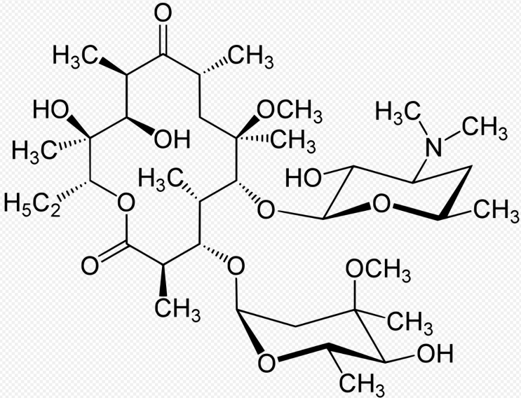 Clarithromycin, 클래리트로마이신, 클래리시드정, 하기도감염 항생제, 헬리코박터 치료 : 네이버 블로그