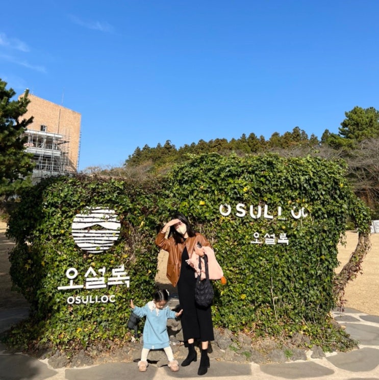 아기랑 제주여행 오설록 티 뮤지엄 이니스프리 하우스 브런치 네이버 블로그