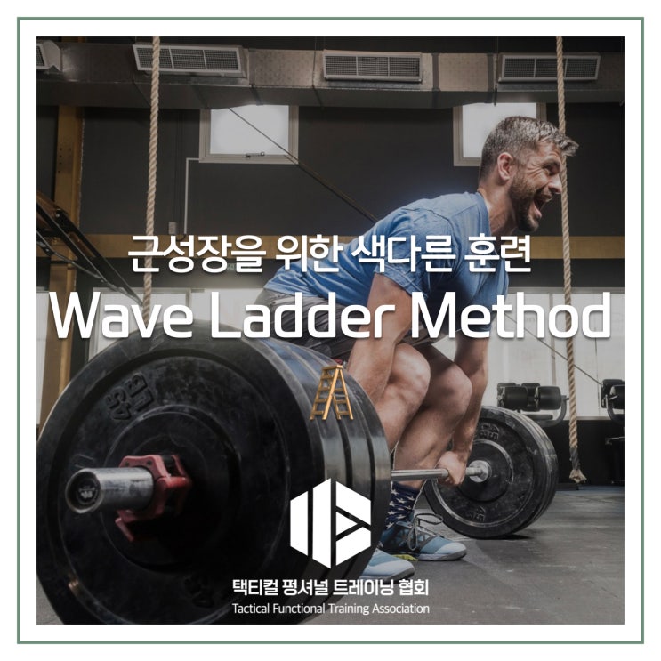 근성장을 위한 색다른 훈련 Wave Ladder Method!! 🪜 : 네이버 블로그