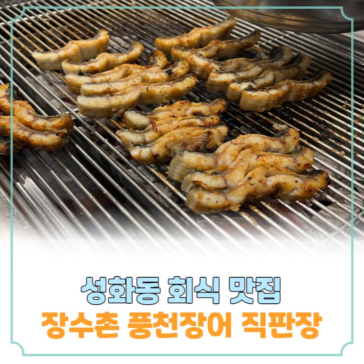 청주 성화동 회식 보양식 맛집 장수촌 풍천장어 직판장 내돈내산 후기 주차 및 가격표 네이버 블로그