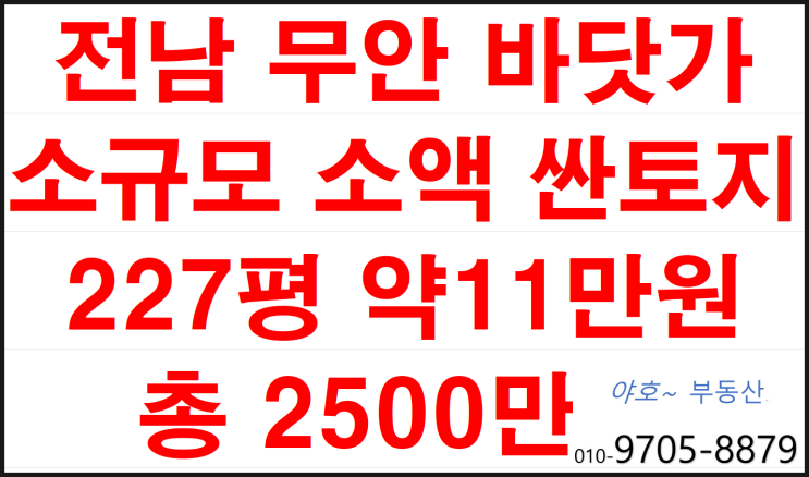 전남 무안 바닷가 소규모 소액 싼 급매물 토지 227평 약11만원 총 2500만원 부동산 토지 투자 땅 매매 전남 무안군 운남면