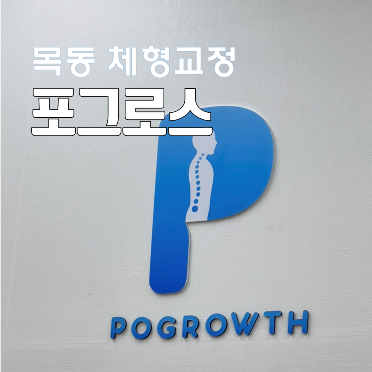 목동 자세교정 포그로스 11 Pt로 정확한 체형교정재활운동 진행하였어요 네이버 블로그