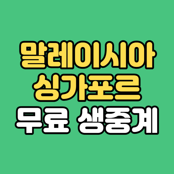 말레이시아 싱가포르 축구 중계 방송 말레이시아대 싱가폴 Sbs 스포츠 Tv채널번호 김판곤 4강전 준결승 동남아 스즈키컵 축구대회