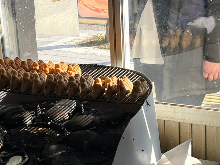 진주 붕어빵 맛집 붕어빵 아자씨 ( 아저씨 아님주의 ) : 네이버 블로그