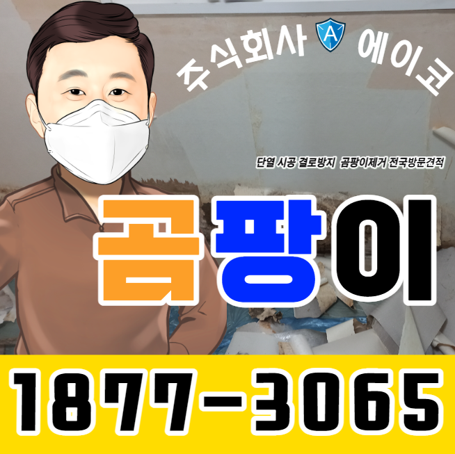 장판 곰팡이 제거 후 벽지 도배 가격아파트 결로방지 네이버 블로그