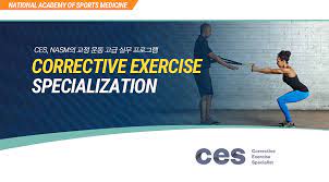 NASM-CES 자격증 정보 (책/난이도/문제유형/공부법/응시료/트레이너 자격증) : 네이버 블로그