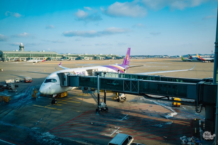 방콕 항공권 타이항공 인천-방콕 TG659 탑승후기, 방콕 공항 픽업 : 네이버 블로그
