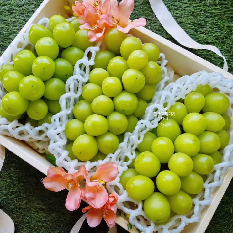 샤인머스캣 맛집 다네 샤인머스켓 핸들박스로 명절 축하 집들이 병문안 선물하세요 전주과일가게 과일 바구니 추천 네이버 블로그