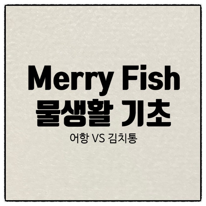 [물생활기초] 꼭 어항에 키워야 되나 집에 투명한 김치통 많은디.. : 네이버 블로그