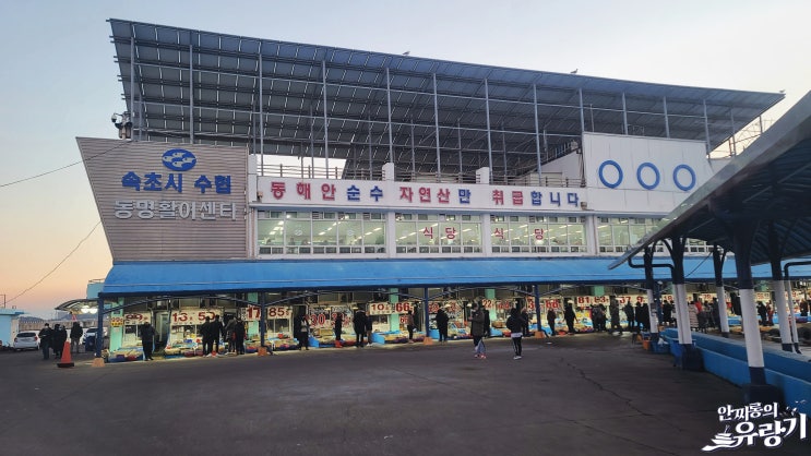 속초 동명항 활어센터 자연산 회 전문 속초 회포장 하기 좋은 곳 네이버 블로그