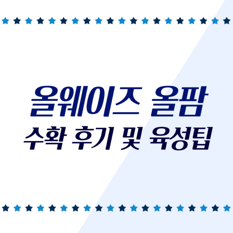 올웨이즈 올팜 고구마 수확후기 및 육성팁 네이버 블로그
