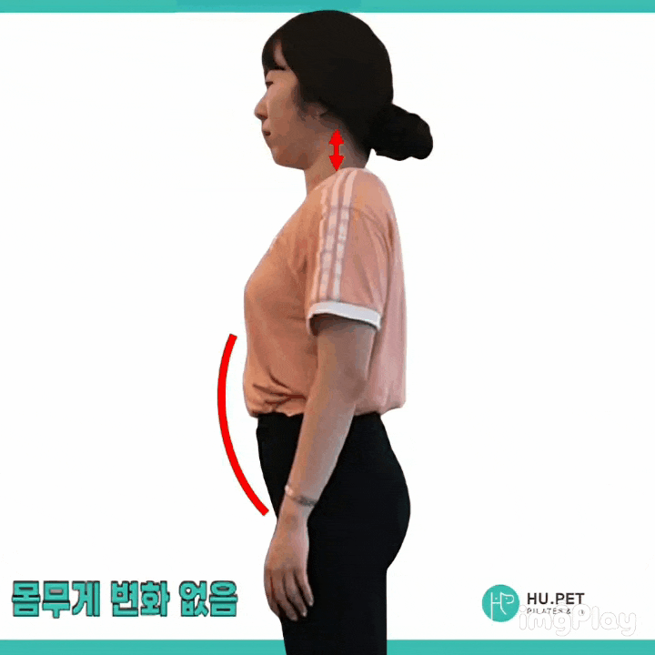 왕십리 Pt 허리디스크 개선 다이어트 성공 운동 방법 휴펫필라테스 앤 Pt 네이버 블로그