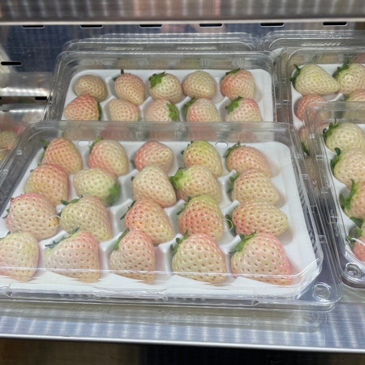 울산 과일쥬스 맛집 당도 높고 신선한 과일 가게 과일오아시스 네이버 블로그